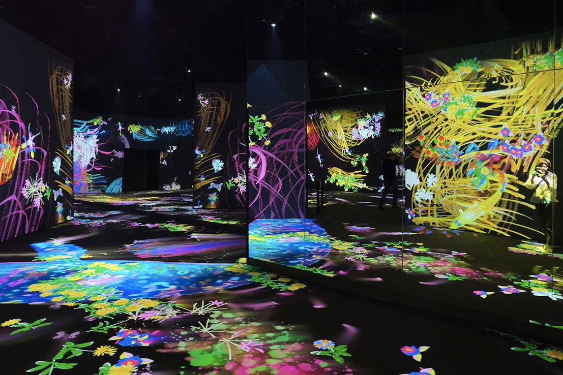 Pemasangan TeamLab Future Park, Galeri Seni Digital